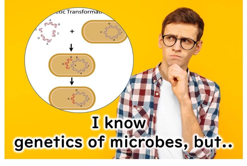 Introduction to Food Microbiology and Safety | Basics and news on food ...