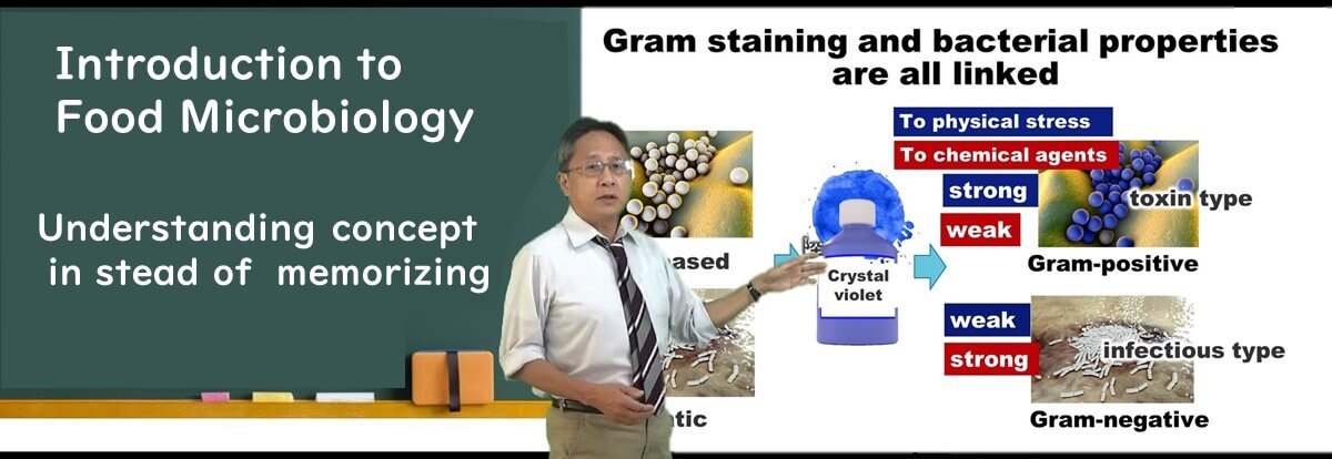 Introduction to Food Microbiology and Safety | Basics and news on food ...