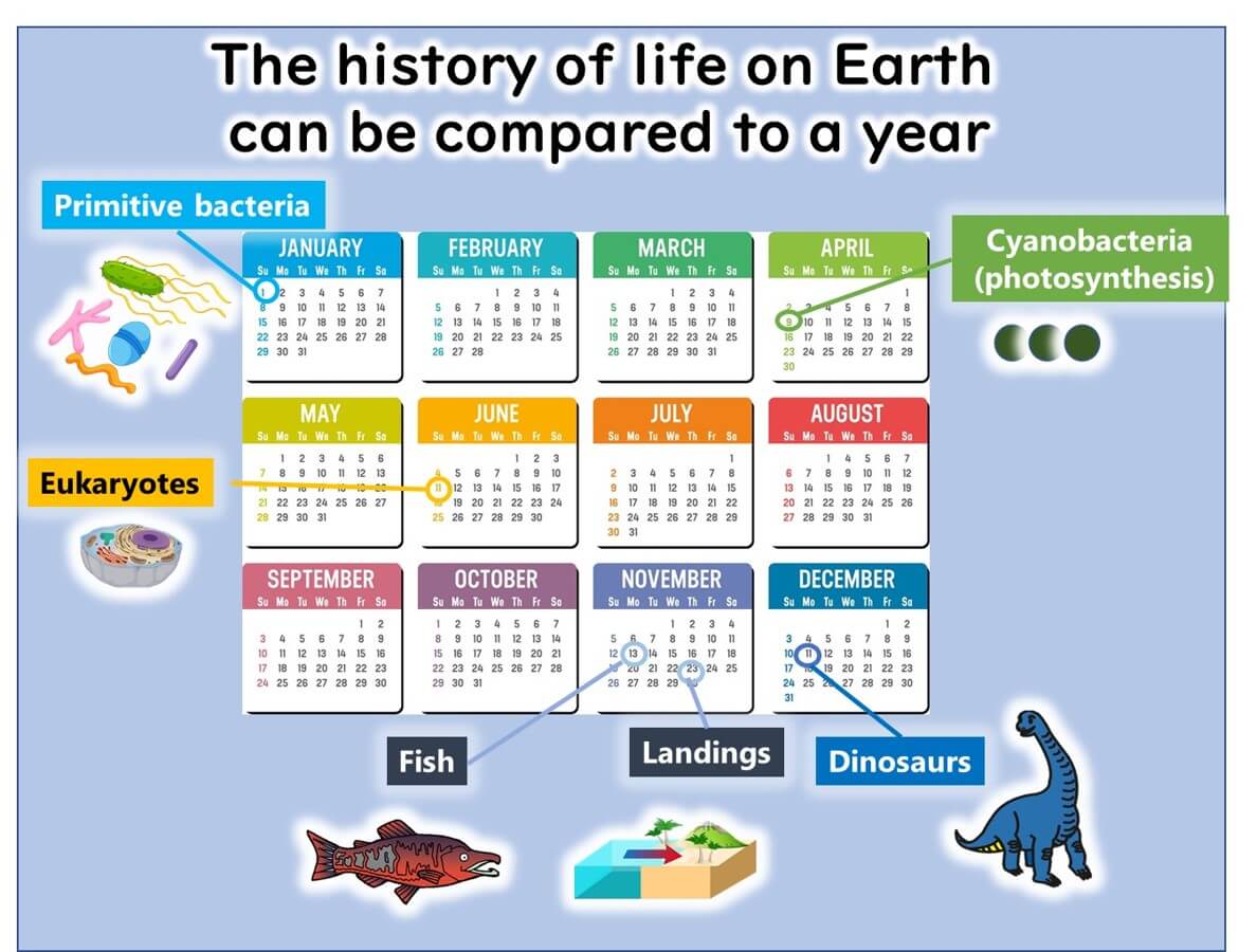 Microorganisms and Humanity: A Brief Encounter in Earth's 4-Billion ...
