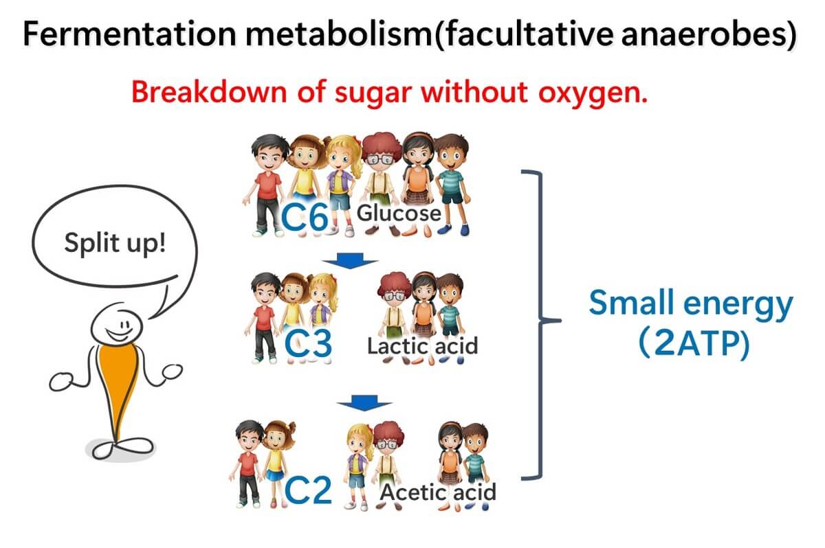 Unlocking the Secrets: How Oxygen Impacts Microbial Growth - A Guide ...
