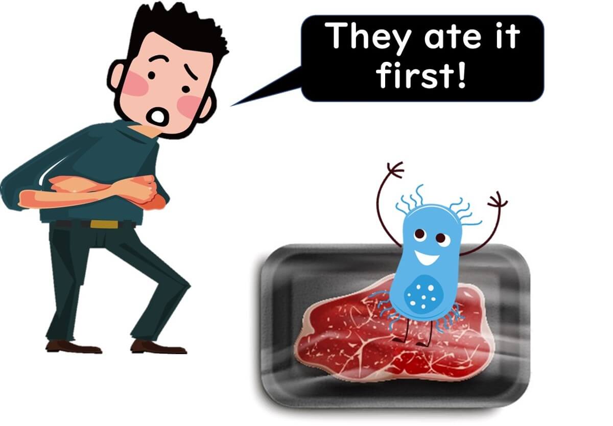 Food Microbiology: Understanding the Human-Microbe Battle ...