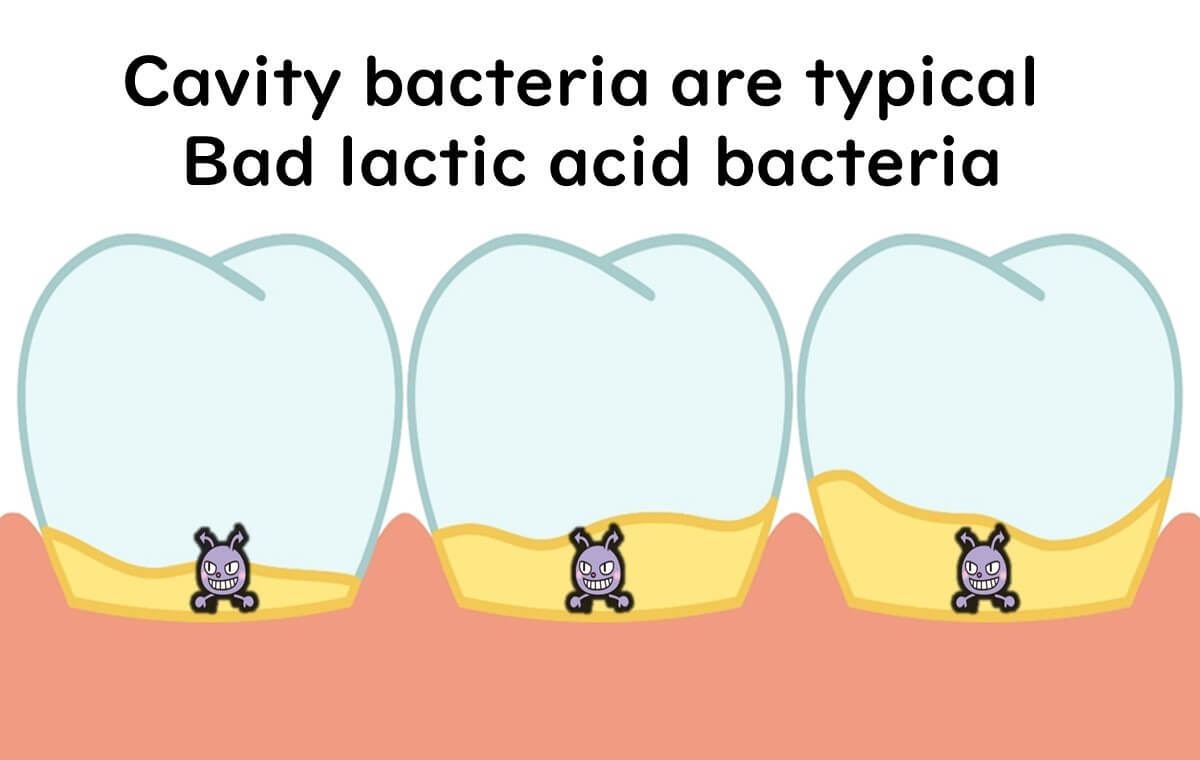 Lactic Acid Bacteria: From Fermentation Heroes to Food Spoilage ...