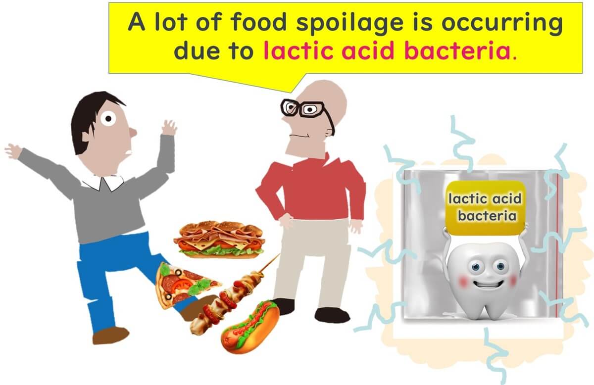 Lactic Acid Bacteria: From Fermentation Heroes to Food Spoilage ...