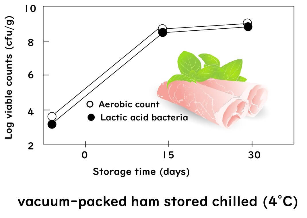 Lactic Acid Bacteria: From Fermentation Heroes to Food Spoilage ...