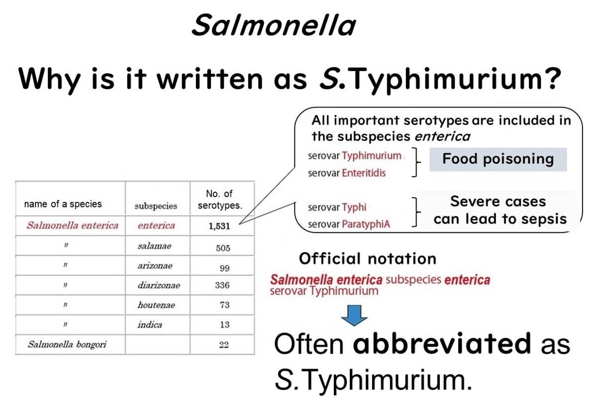 Comprehensive Guide to Salmonella: Understanding Types, Risks, and Food ...