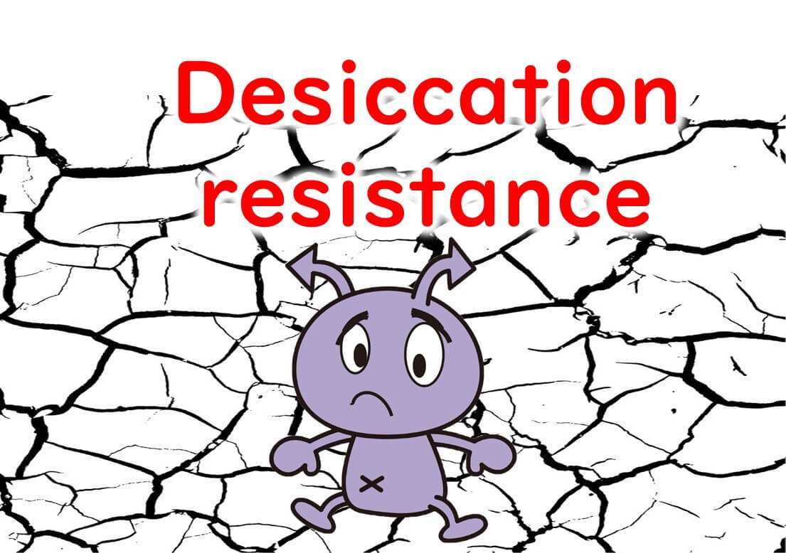 Understanding Cronobacter sakazakii: Risks, Prevention, and Safe ...