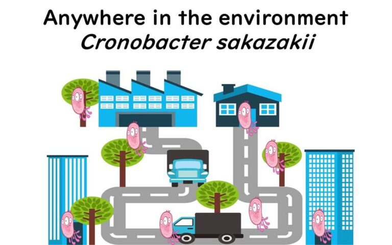 Understanding Cronobacter sakazakii: Risks, Prevention, and Safe ...