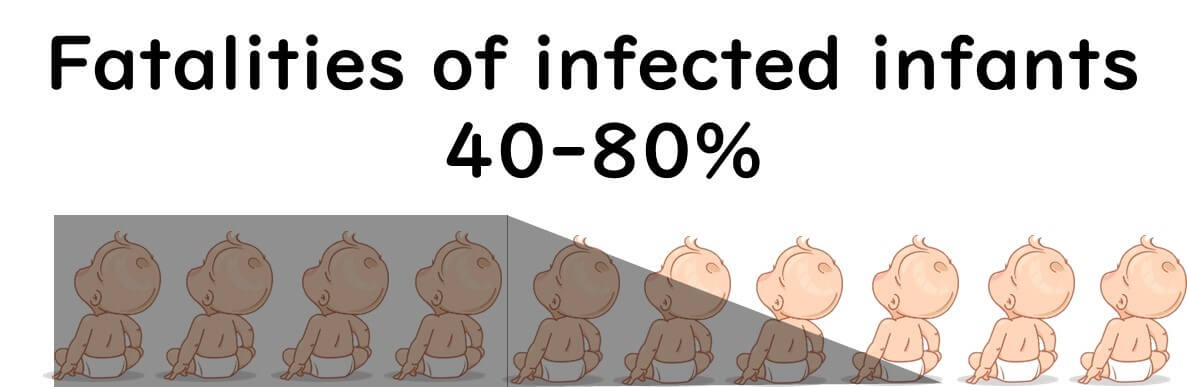 Understanding Cronobacter sakazakii: Risks, Prevention, and Safe ...