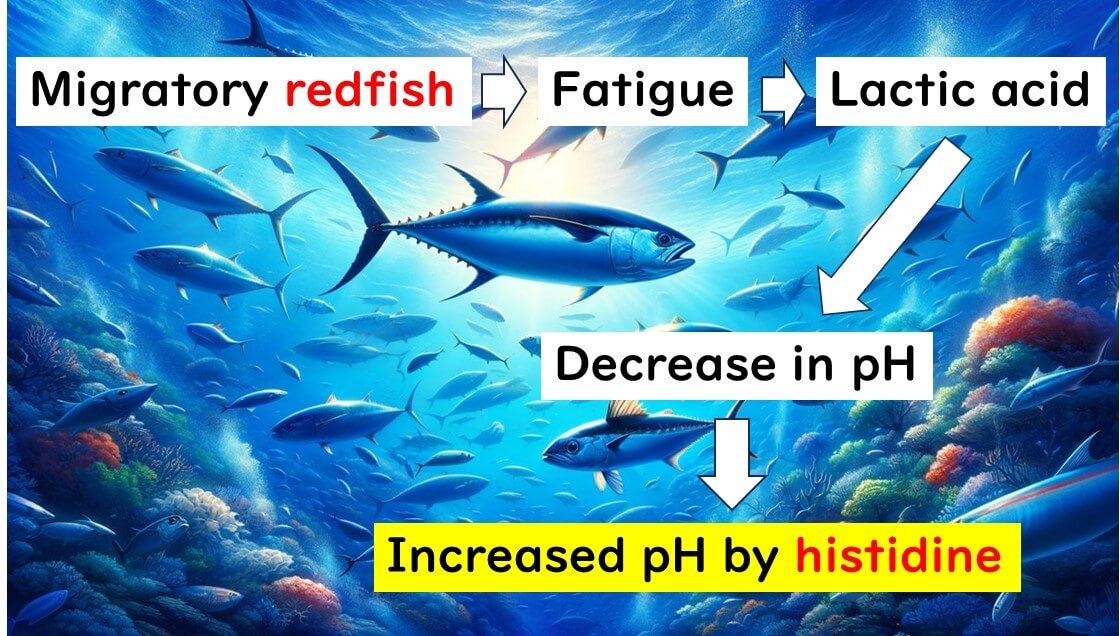 Histamine forming bacteria | Introduction to Food Microbiology and Safety