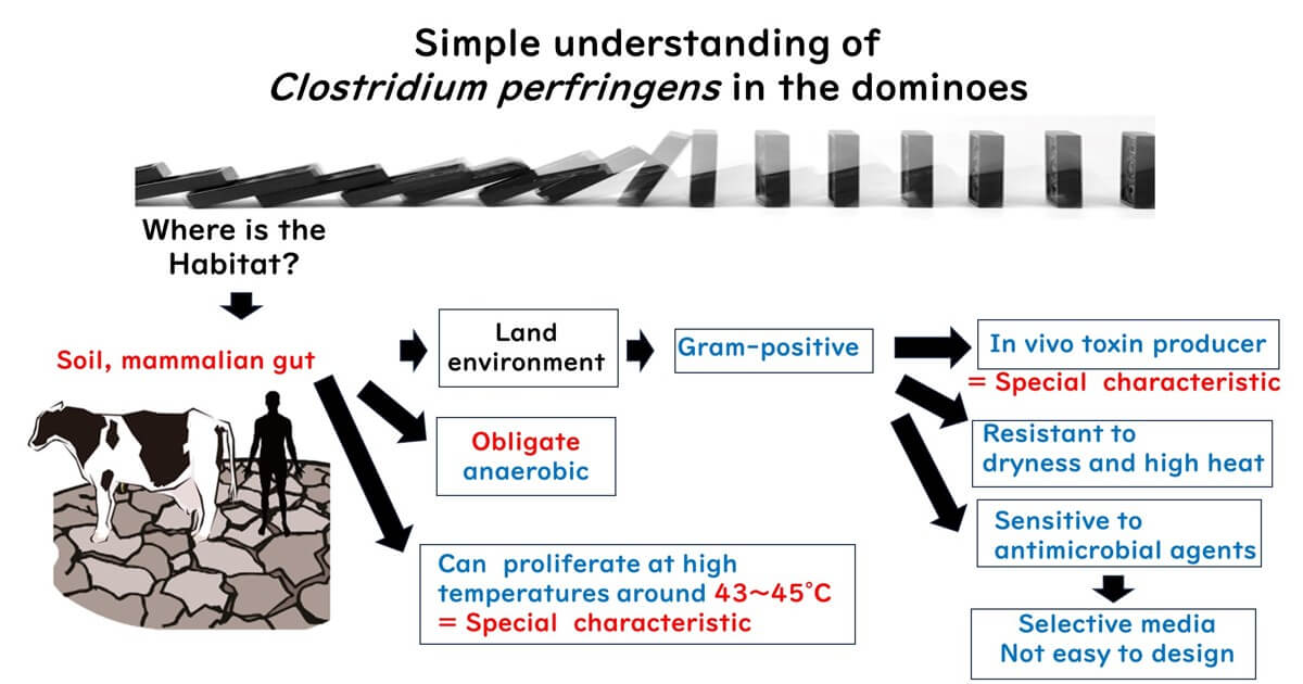 Clostridium perfringens: How to Prevent Food Poisoning from the ...