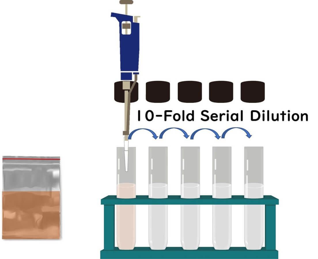 Standard Plate Count: A Beginner's Guide to Measuring Bacteria in Food ...