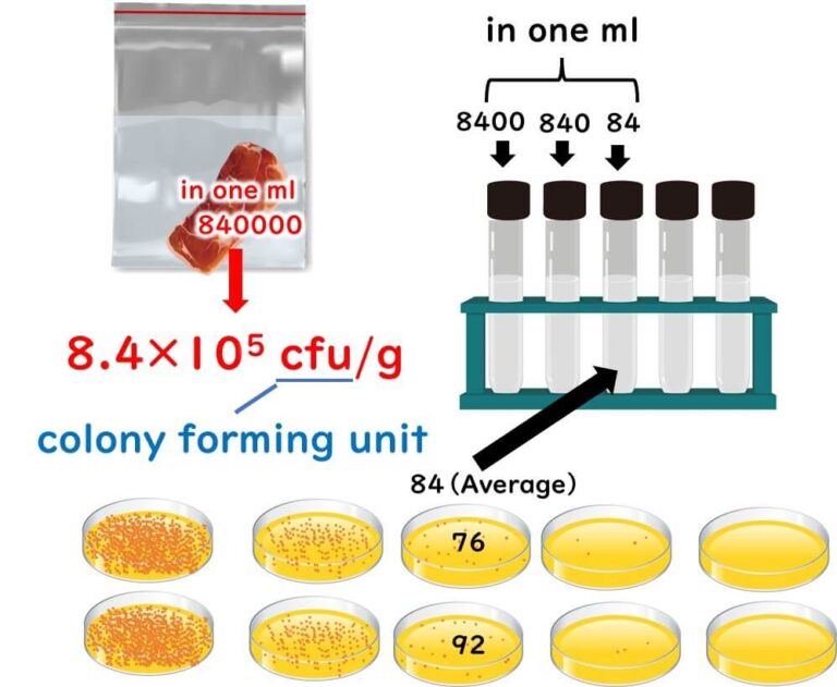 Standard Plate Count: A Beginner's Guide to Measuring Bacteria in Food Microbiology ...