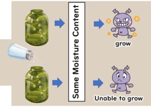 Water Activity Explained: What is It and How Does it Differ from Water ...