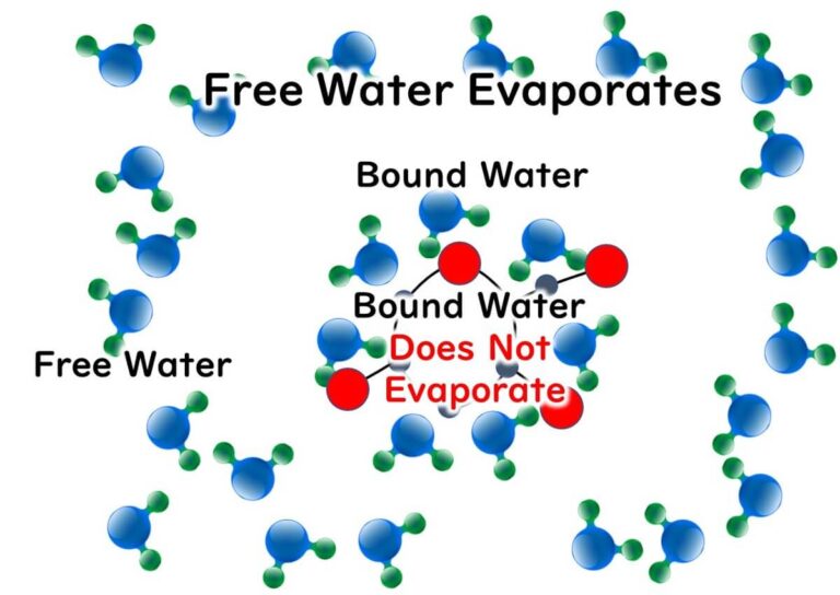 Water Activity Explained: What is It and How Does it Differ from Water ...