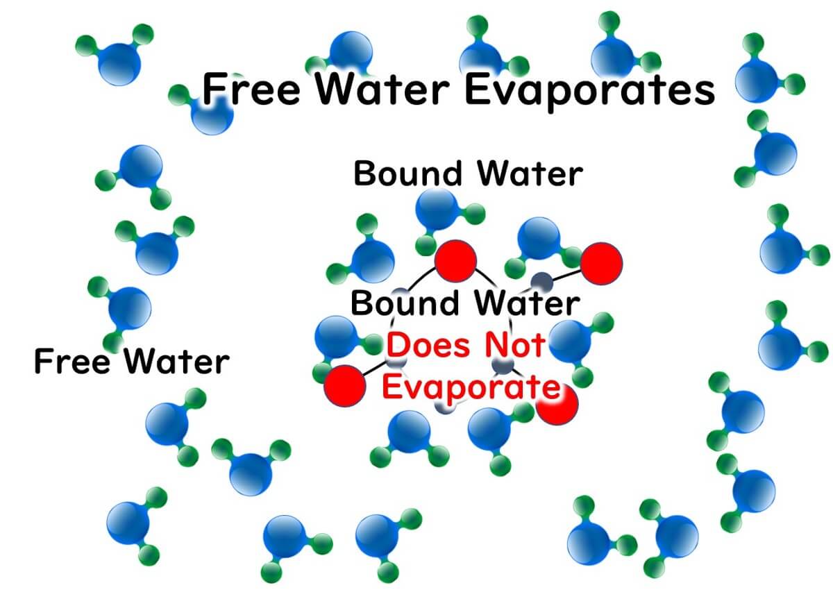 Water Activity Explained: What is It and How Does it Differ from Water ...