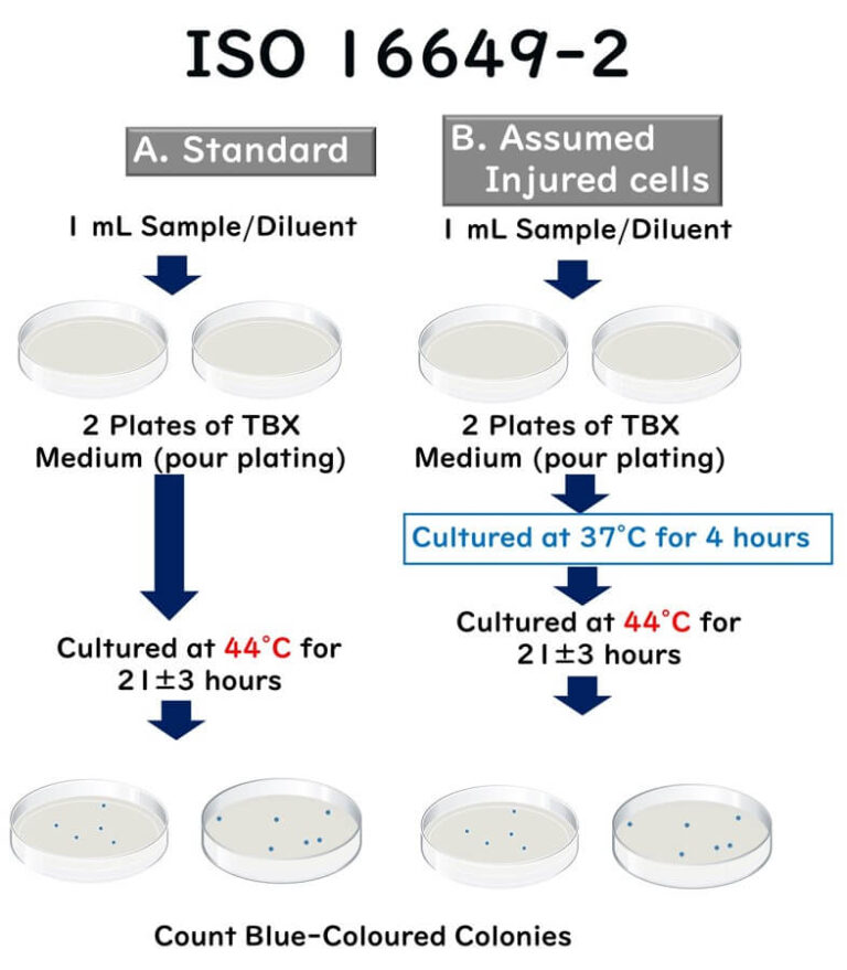 For beginners: the ISO method for E. coli testing on enzyme substrate ...