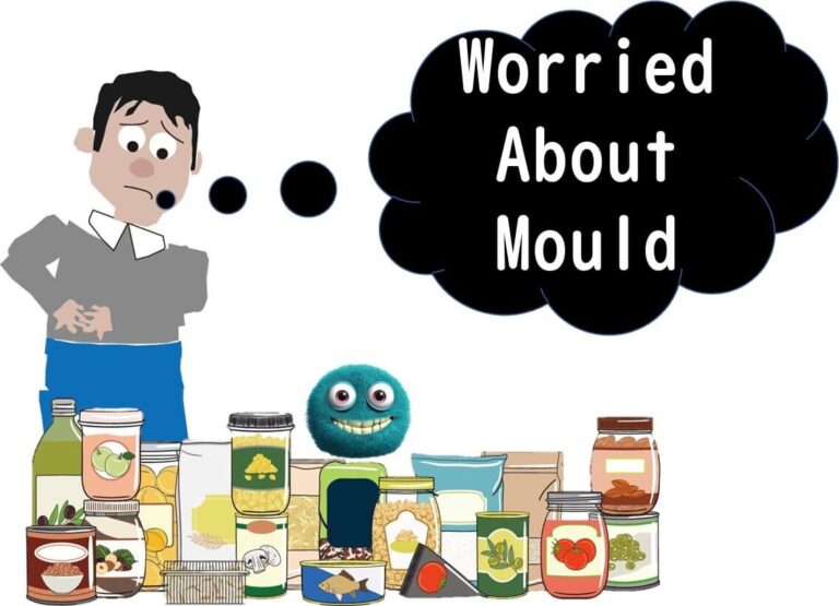 Water Activity Explained: What is It and How Does it Differ from Water ...