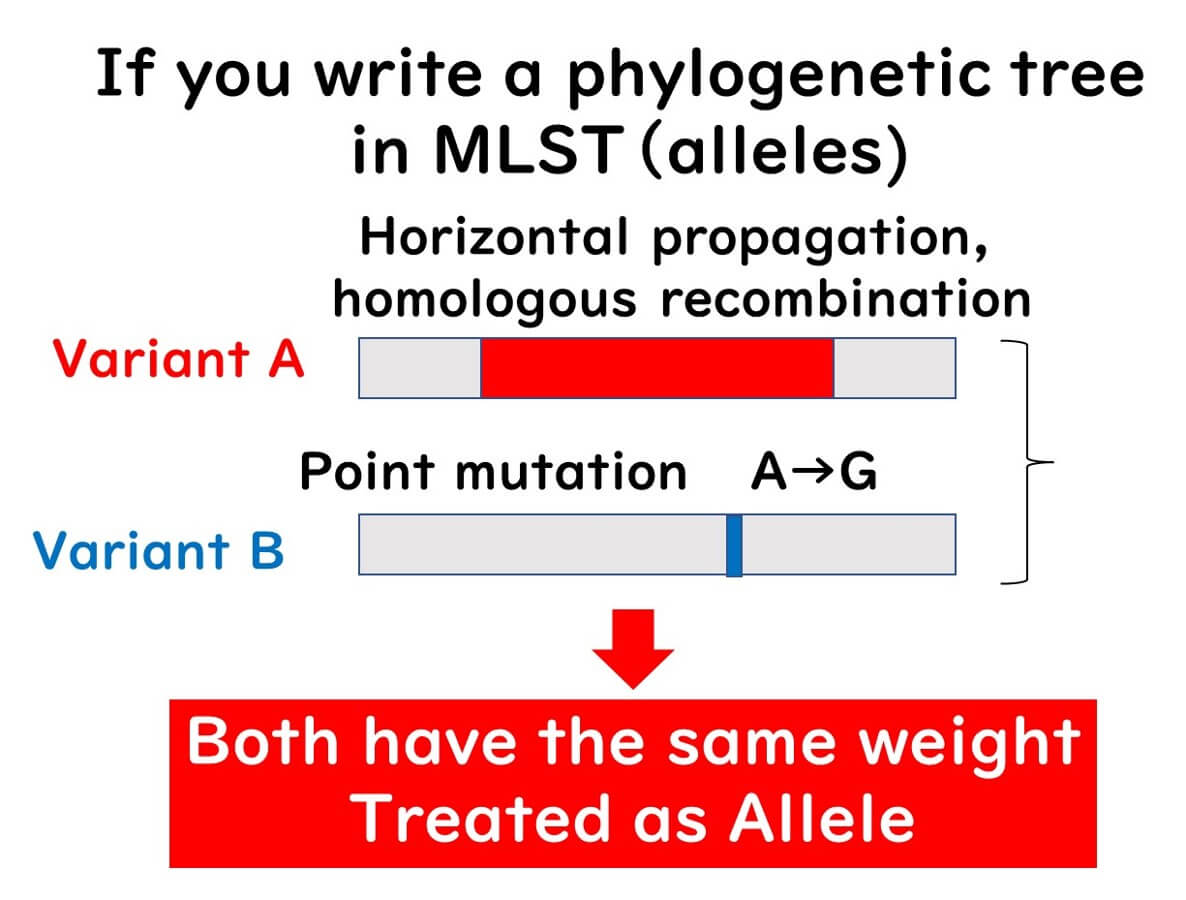 Bacterial Strain Typing: PFGE, MLST, and MLVA in Molecular Epidemiology ...