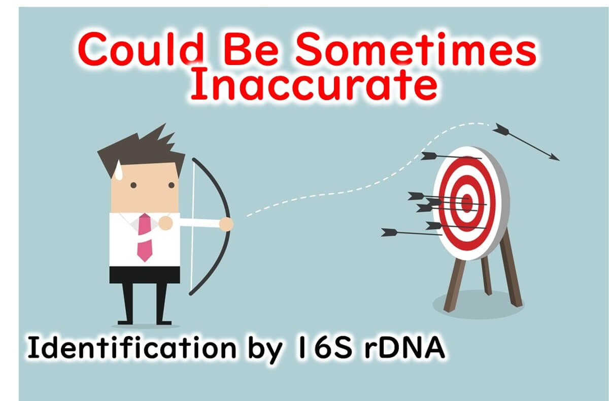 Streamlined Molecular Methods for Microbial Identification: A Practical Guide | Introduction to ...