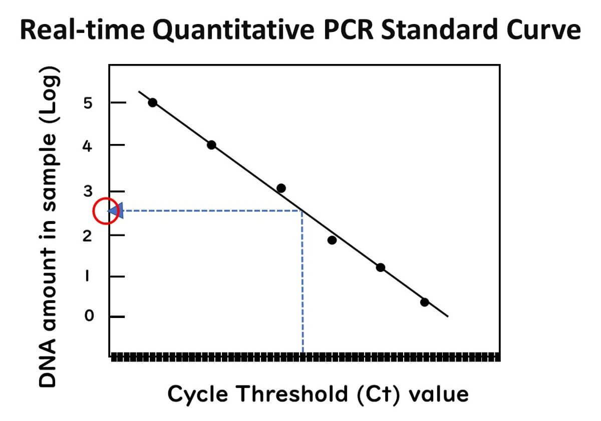 Real-Time PCR in Food Safety: Practical Insights into the TaqMan Method | Introduction to Food ...