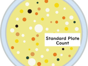 Unveiling the Truth About Standard Plate Counting: A Crucial Tool in ...