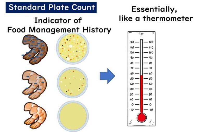 Unveiling the Truth About Standard Plate Counting: A Crucial Tool in ...