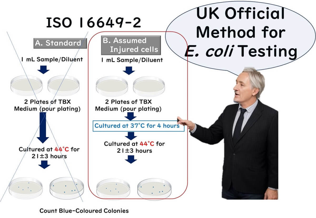 For beginners: the ISO method for E. coli testing on enzyme substrate ...