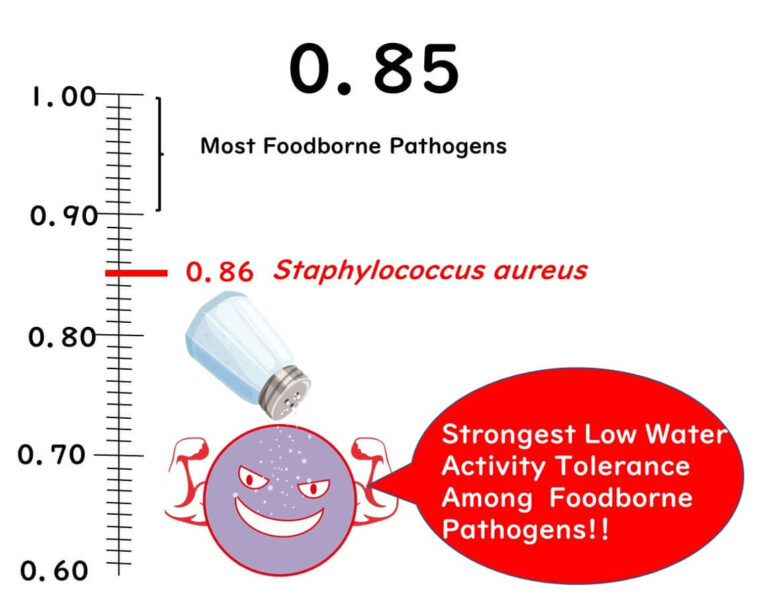 Water Activity Explained: What is It and How Does it Differ from Water ...